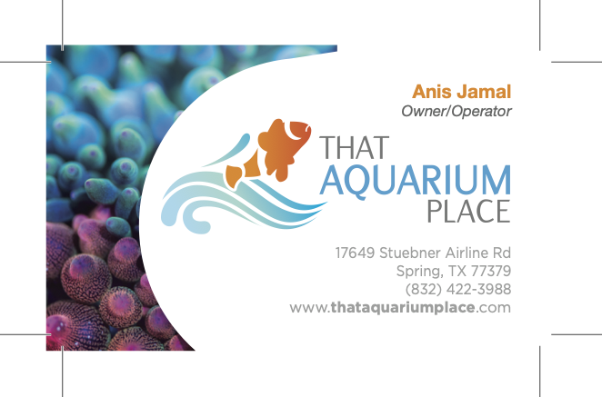 Tomball Little League > Home